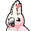 Cockatoo AI Reviews: Use Cases, Pricing & Alternatives